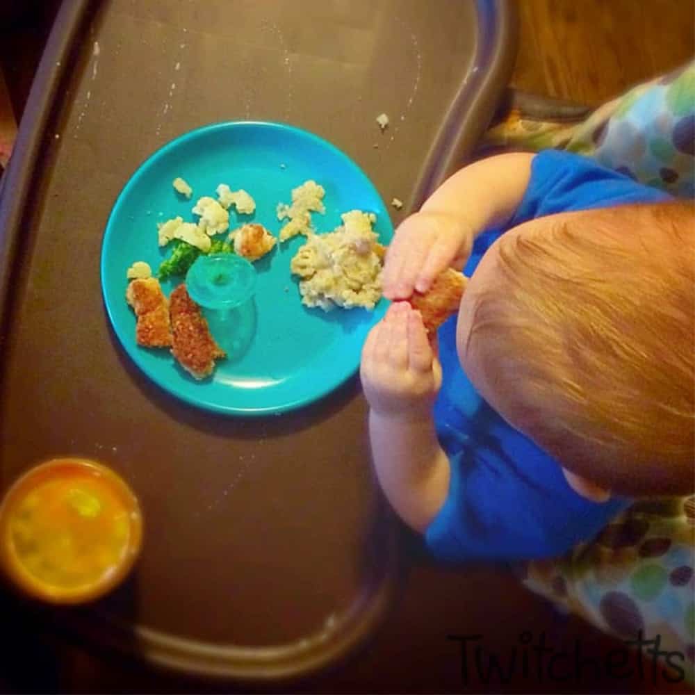 Kid Approved Panko Breaded Fish Nuggets - Twitchetts