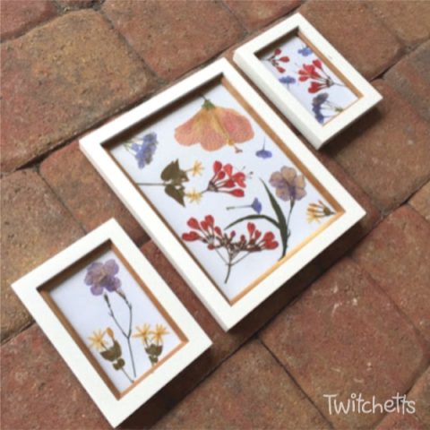 Best way to press flowers for framing - Twitchetts