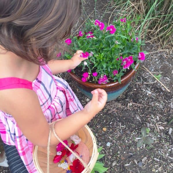 3 fun ways to play with a simple flower sensory bin - Twitchetts
