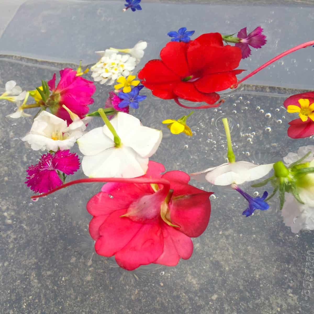 3 fun ways to play with a simple flower sensory bin - Twitchetts
