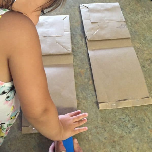 Recycled Grocery Sack Craft - Twitchetts