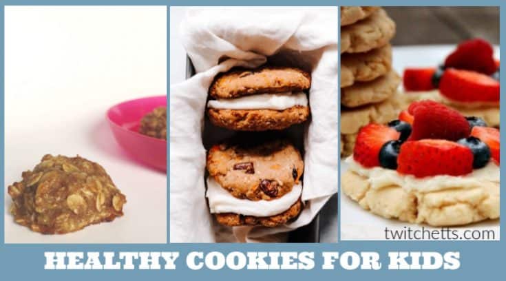20 Healthy Cookies for Kids - Twitchetts