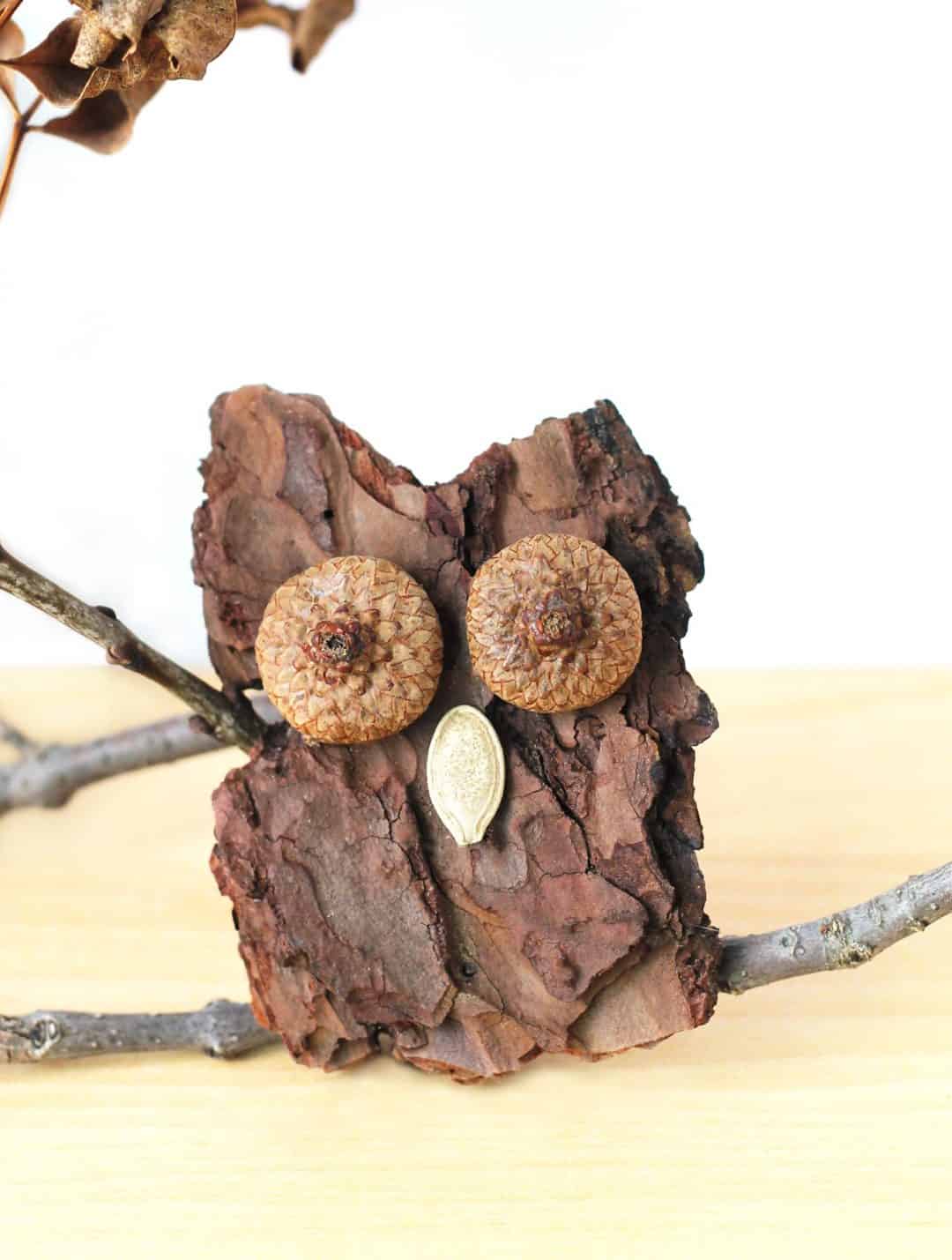 50+ easy nature crafts for kids to make this summer or fall - Twitchetts