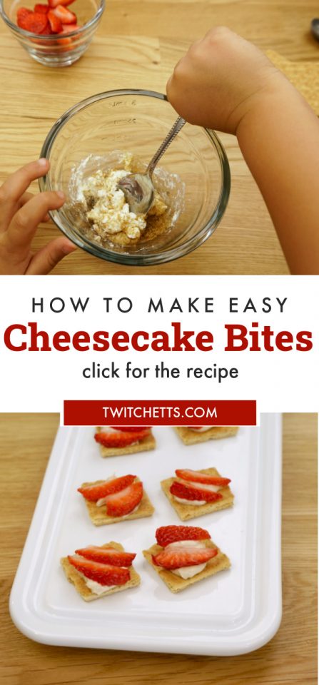 Easy Cheesecake Bites Recipe with just 4 ingredients - Twitchetts