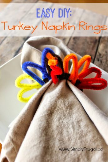 8 Fun Thanksgiving Pipe Cleaner Crafts for kids to make - Twitchetts