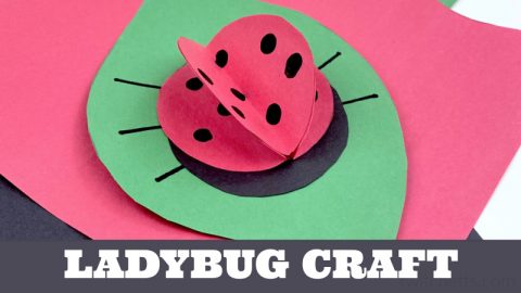 8 Simple Bug Crafts For Preschool Kids To Make - Twitchetts